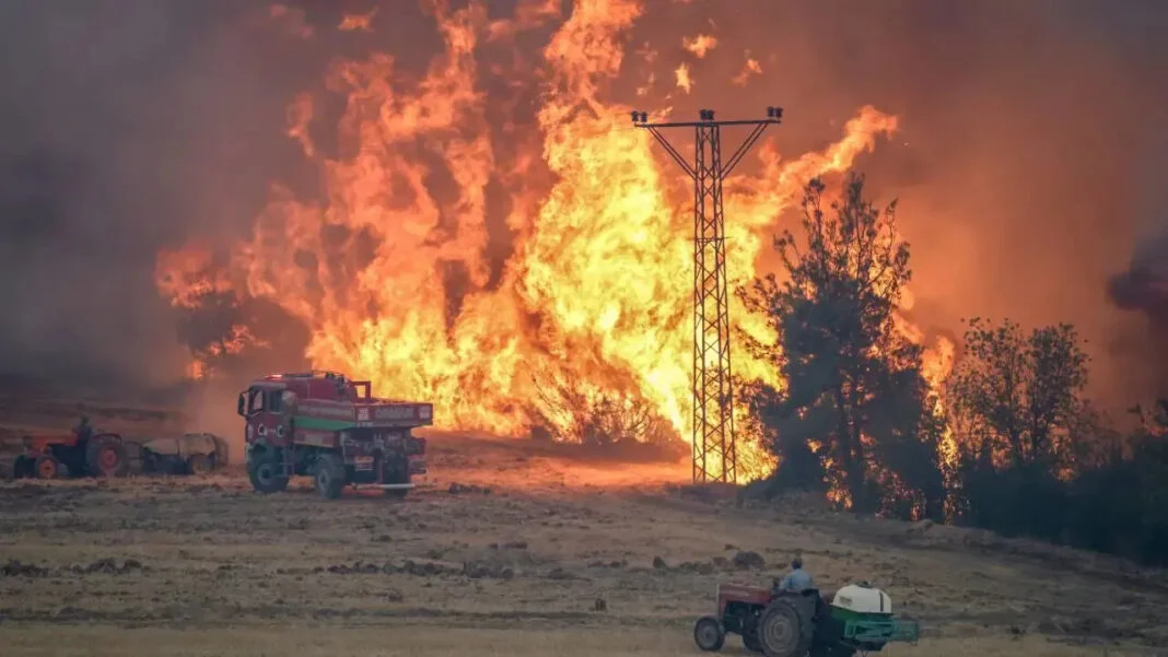 Turkey Declares Disaster Zones as Wildfires Rage Across Western ...