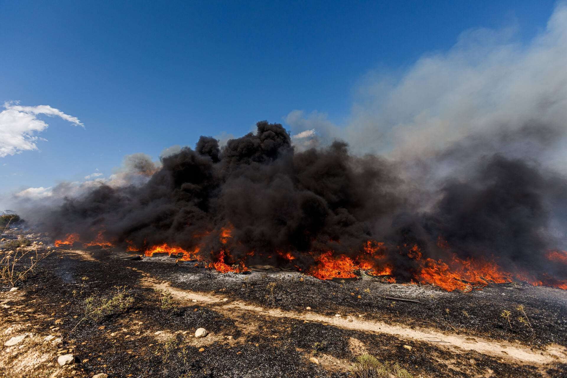 VIDEO: Massive Forest Fire Erupts in Chada, Paphos, Cyprus – Scoop Hub